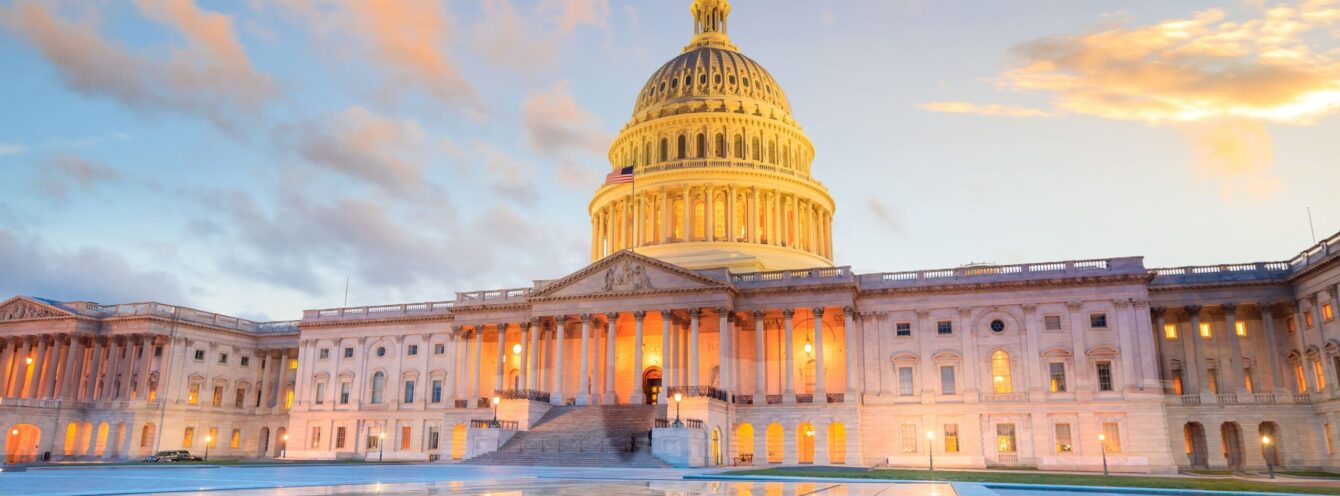 How can BAL Help? | Solutions | BAL Immigration Law